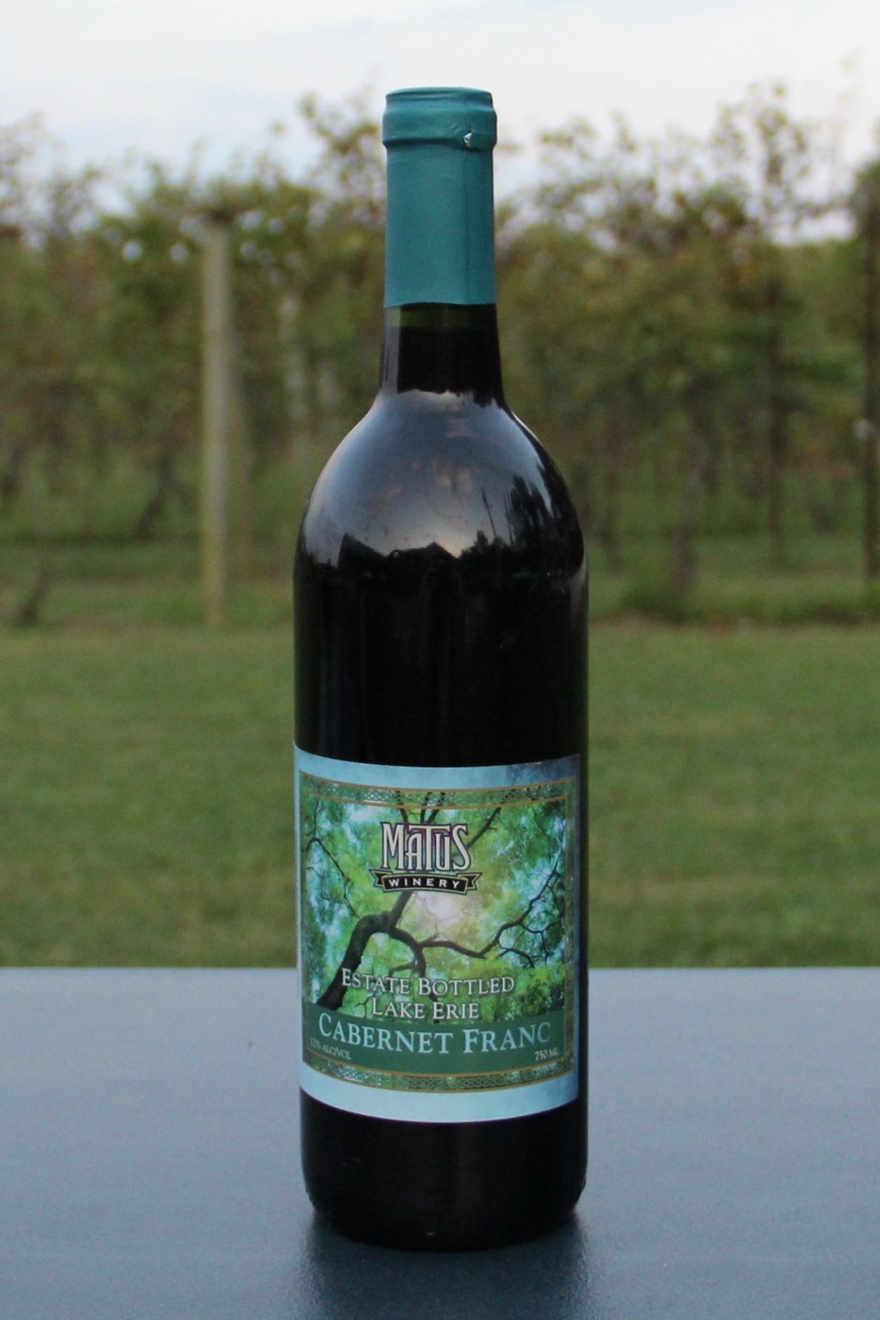 Our Wines | Matus Winery
