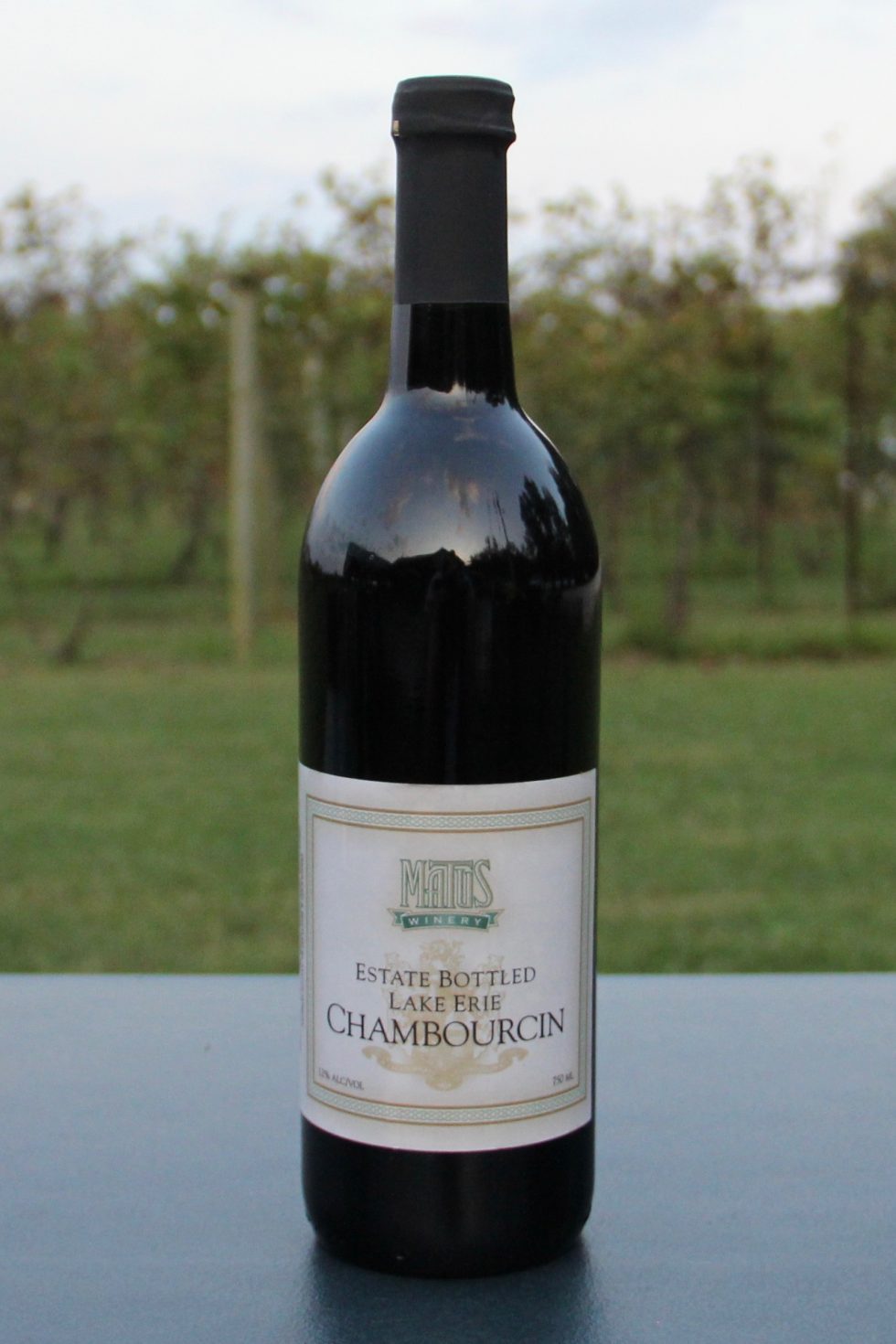 Our Wines | Matus Winery